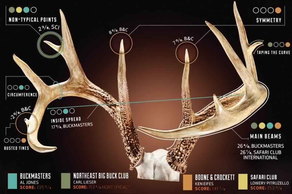 How Big Was That Deer Depends On Who You Ask The Hunting Page